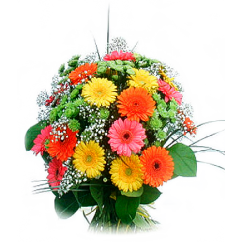 1 Dozen Assorted Gerbera Bouquet w/ Some Greeneries