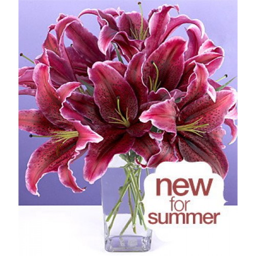 One Dozen Deep Red Lilies in a Vase