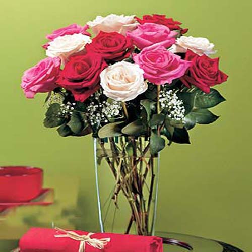 Expression Roses with Babys Breath in a Vase
