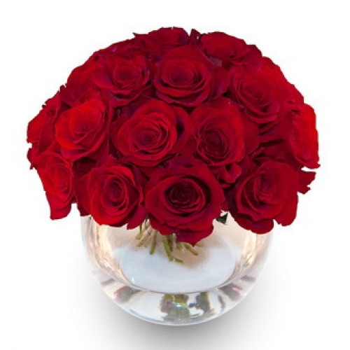 2 dozen of Red Holland Roses in a Globe Vase