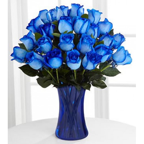 Three Dozen Blue Holland Roses in a Vase