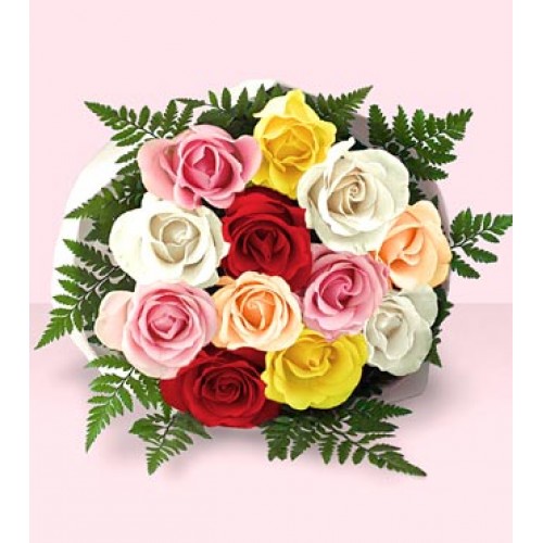 One Dozen Multi Colored Roses in a Bouquet with Filler