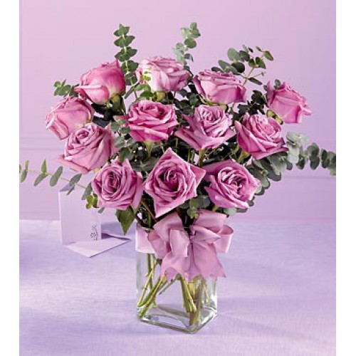 One Dozen Imported Holland Purple Roses* in a Vase