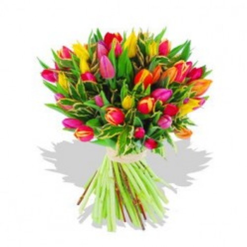 One Dozen Assorted Tulips in a Bouquet