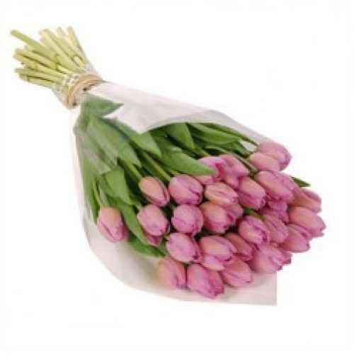 One Dozen Pink Tulips in a Bouquet